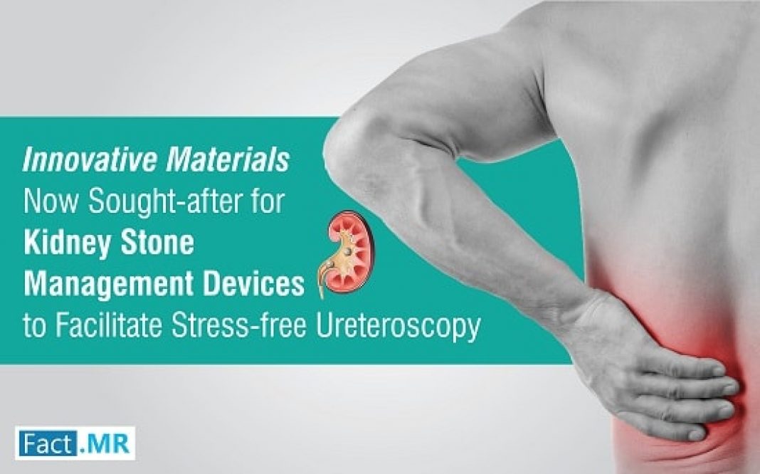 Innovative Materials Now Sought-after for Kidney Stone Management ...