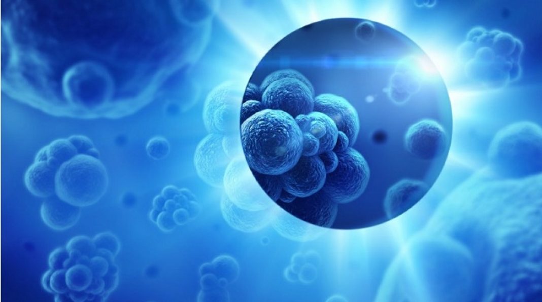 BioMed X and Merck KGaA, Darmstadt, Germany launch new research program ...